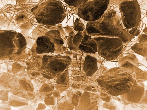 Granular Computing: Pursuing New Frontiers of AI & Data Science ...